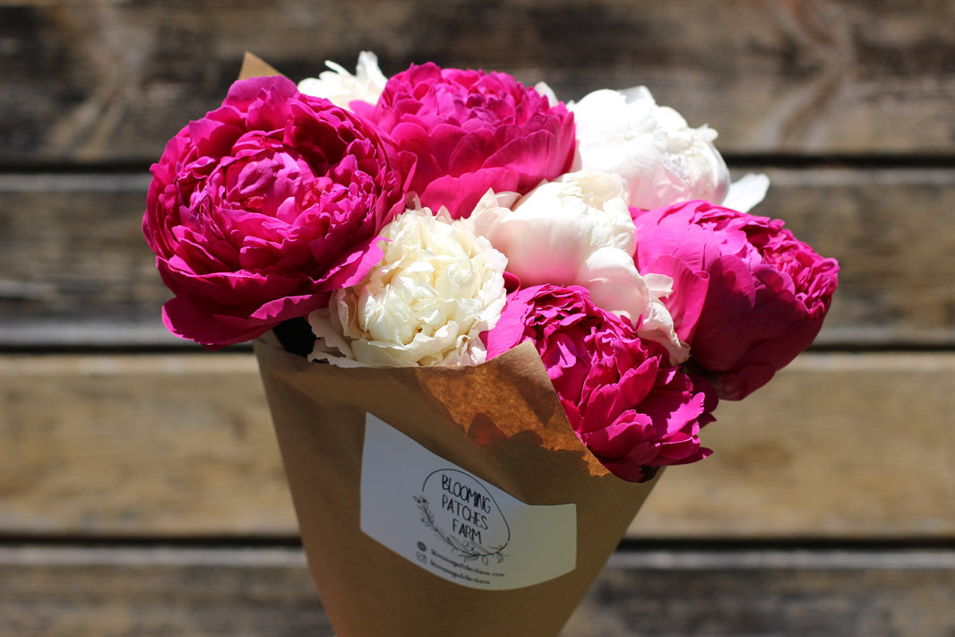 Blooming Patches Farm
